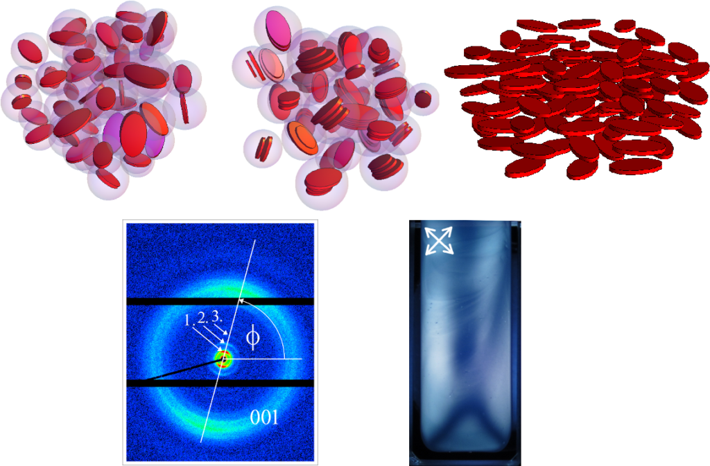 Organic Colloidal dispersions - ICSP